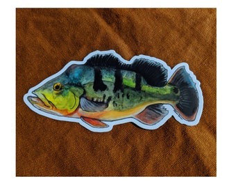 Peacock Bass Sticker - Etsy