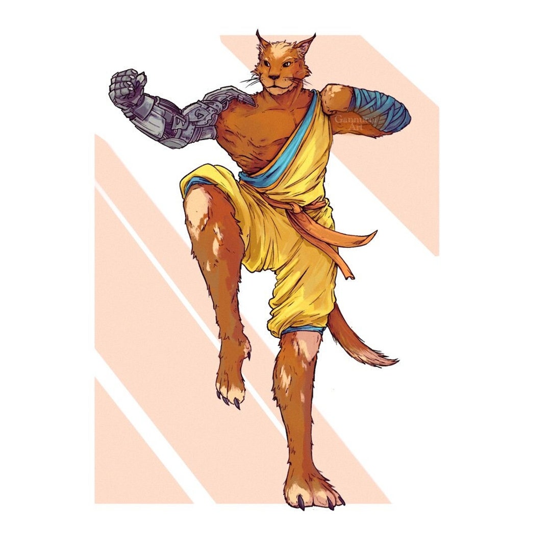 Full Body Dnd Character Art Commission Customised Characters for D&D ...