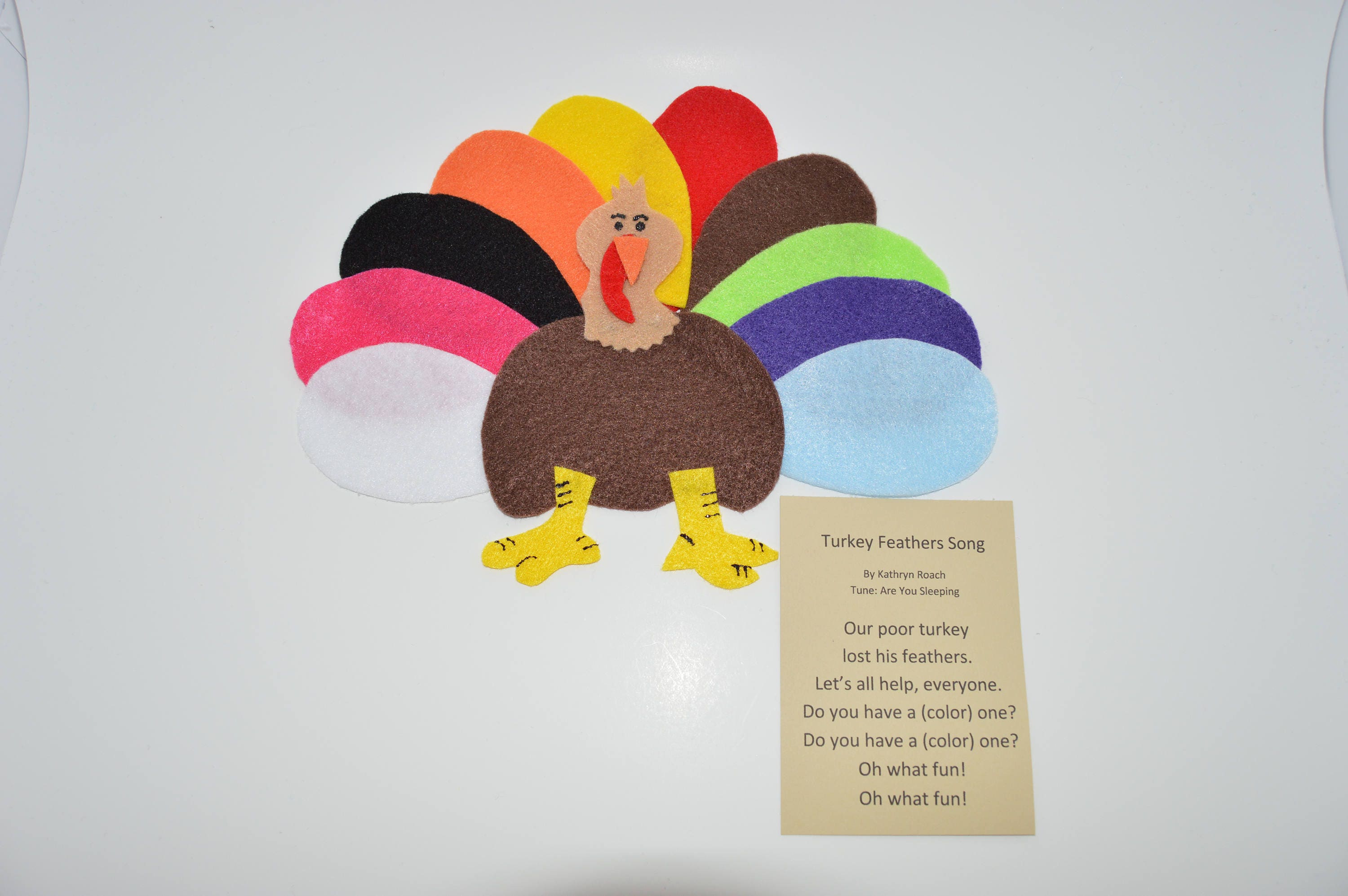 Turkey Feathers Colors