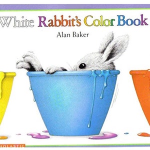 White Rabbit's Color Book Flannel Board Story - Etsy