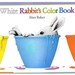 White Rabbit's Color Book Flannel Board Story - Etsy