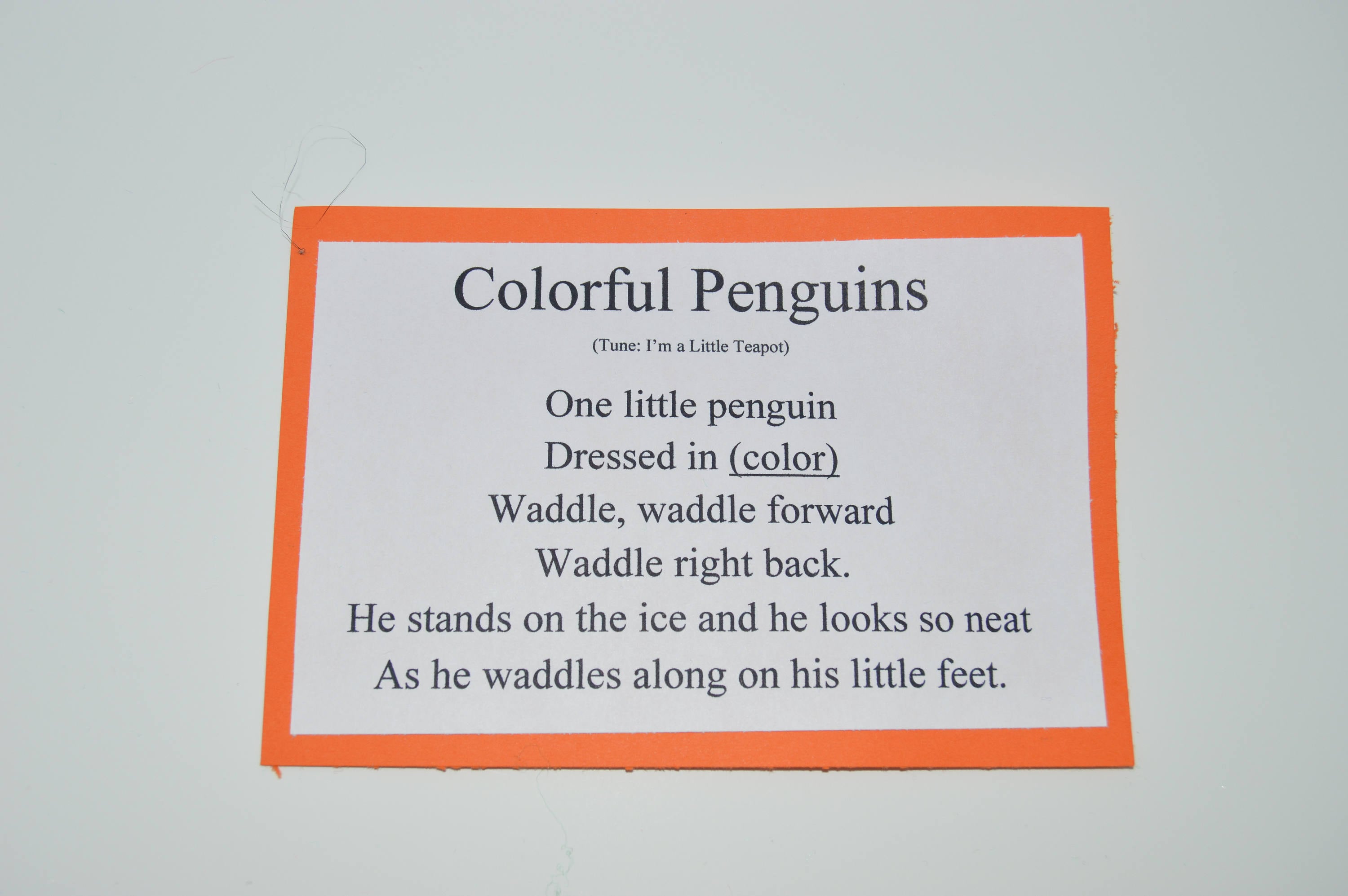 Colorful Penguins Flannel Board Story - Etsy