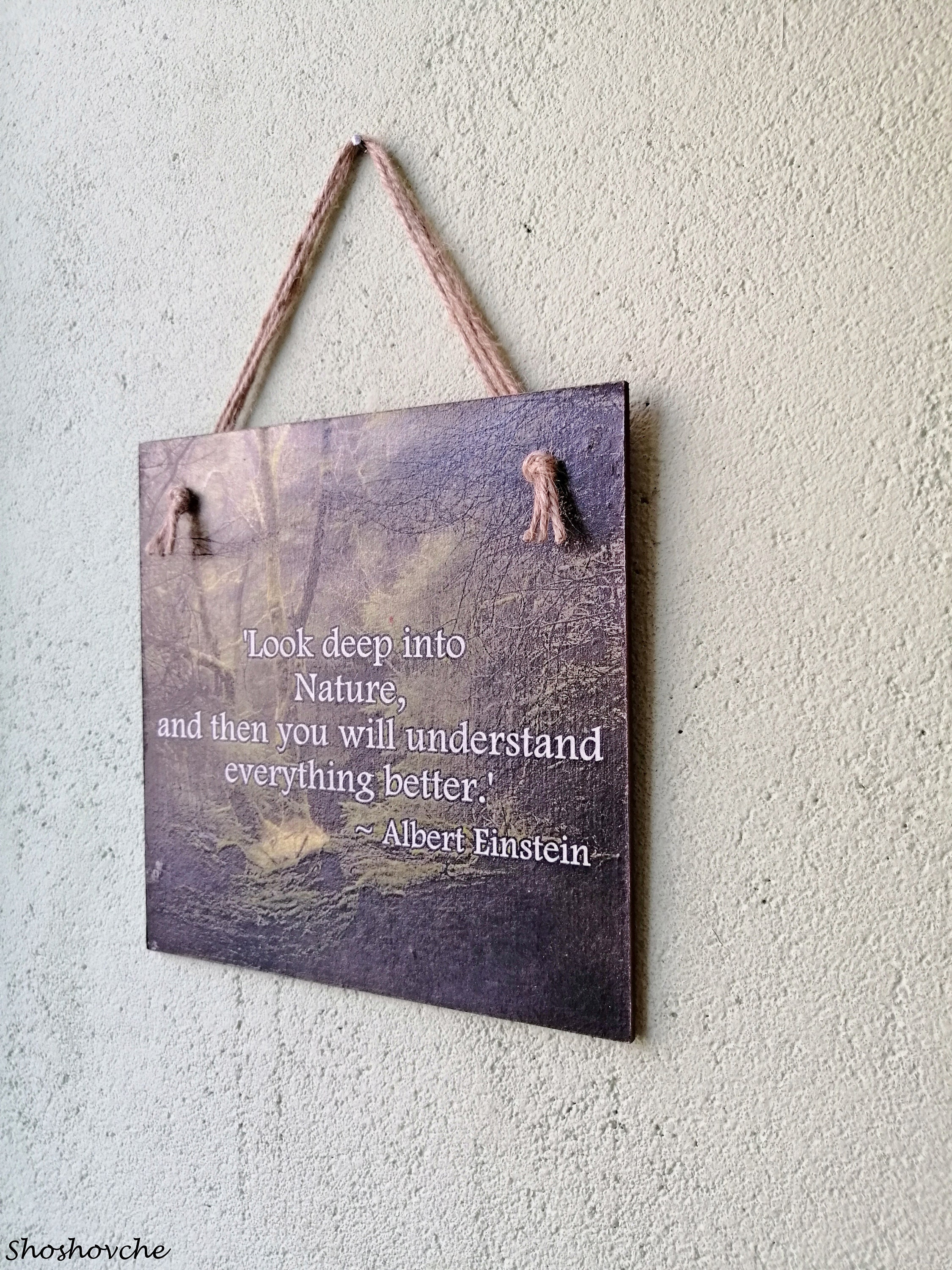 Albert Einstein Inspirational Saying Sign, Nature Lover Quote Wall Art ...