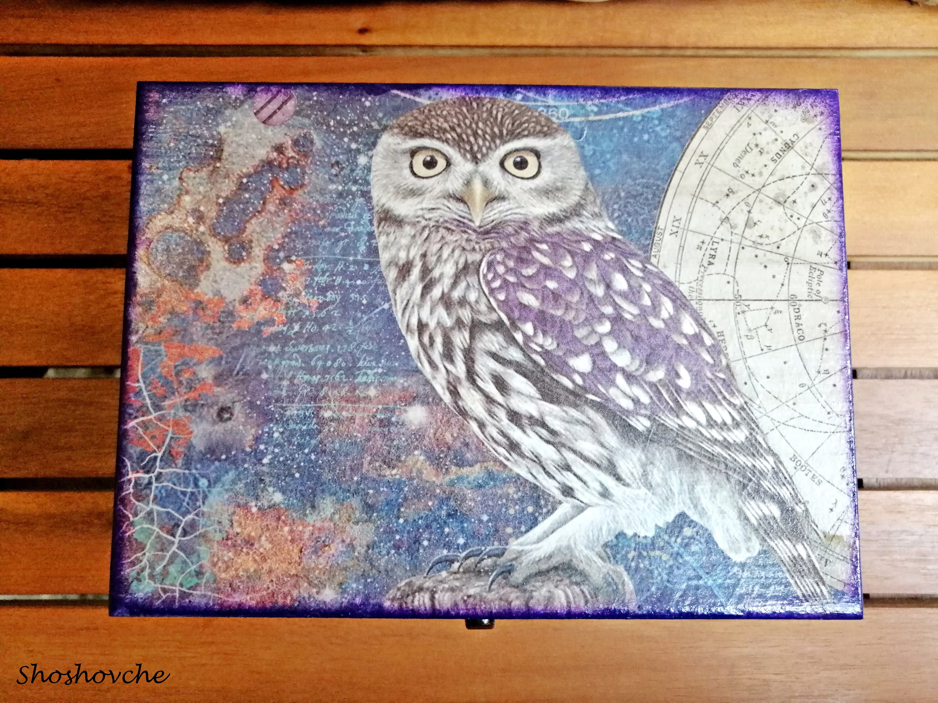 Owl Wooden Memory Box Night Birds Decoupage Box Astrology | Etsy