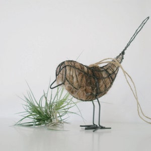 Native Bird Nester. Wire Bird With Llama Fibre Nesting Material. Bird ...