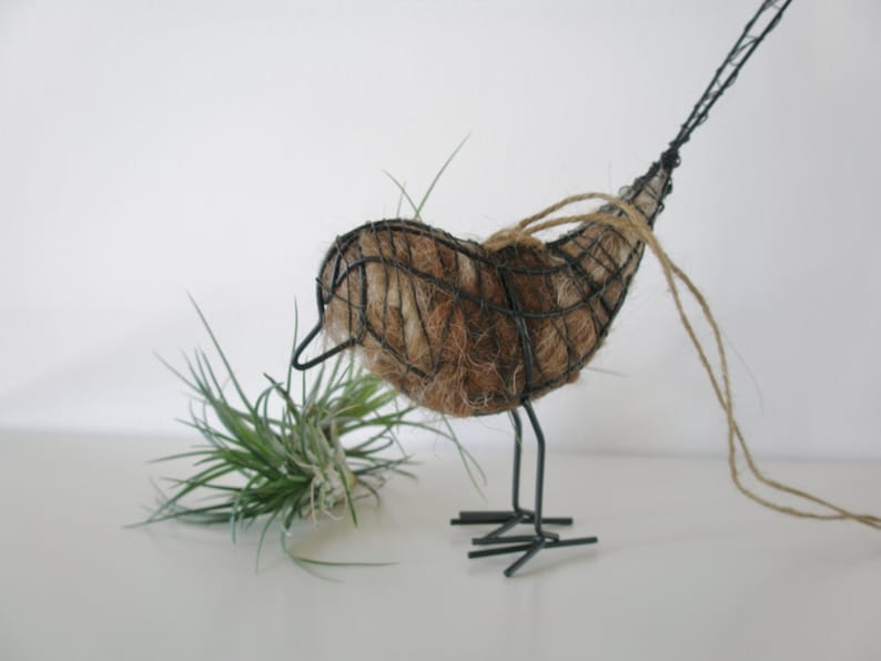 Native Bird Nester. Wire Bird With Llama Fibre Nesting Material. Bird ...