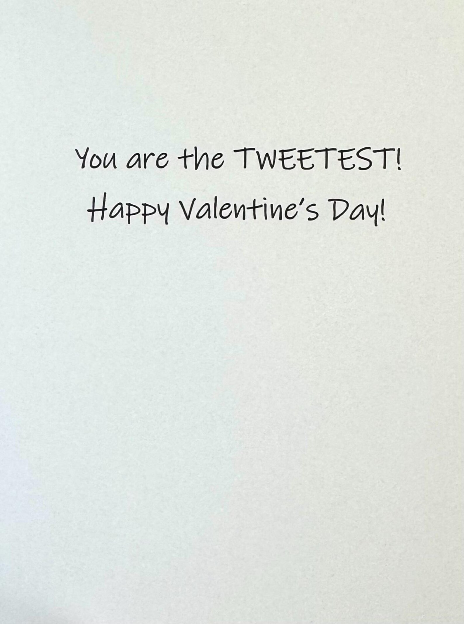 Bird Valentine Card - Etsy