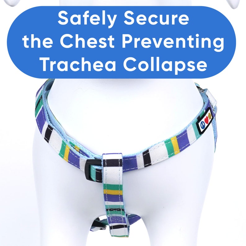 Pawtitas Multicolor Dog Harness: Adjustable Step-in Puppy Harness - Etsy