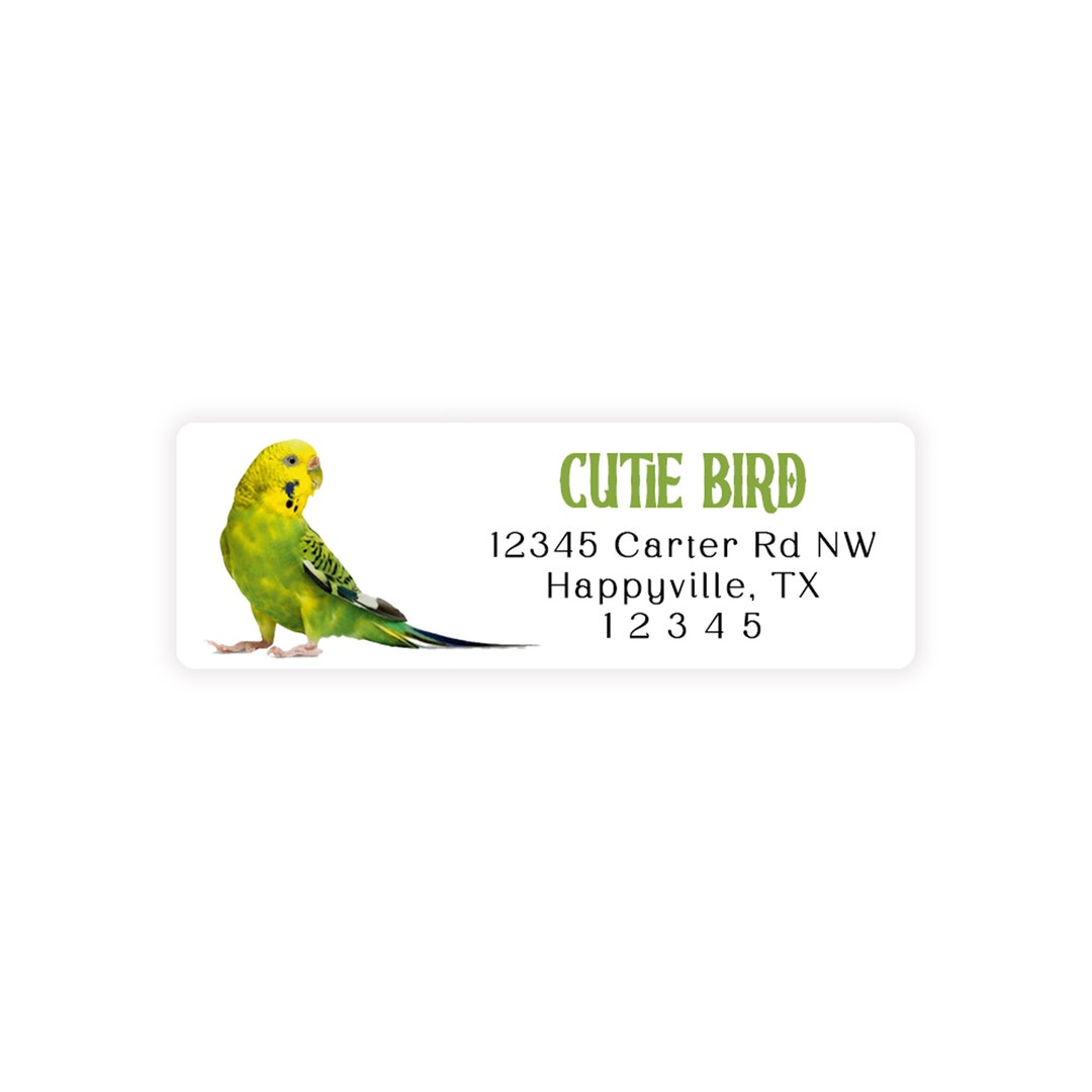 Bird Budgie Parakeet Custom Address Labels - Etsy