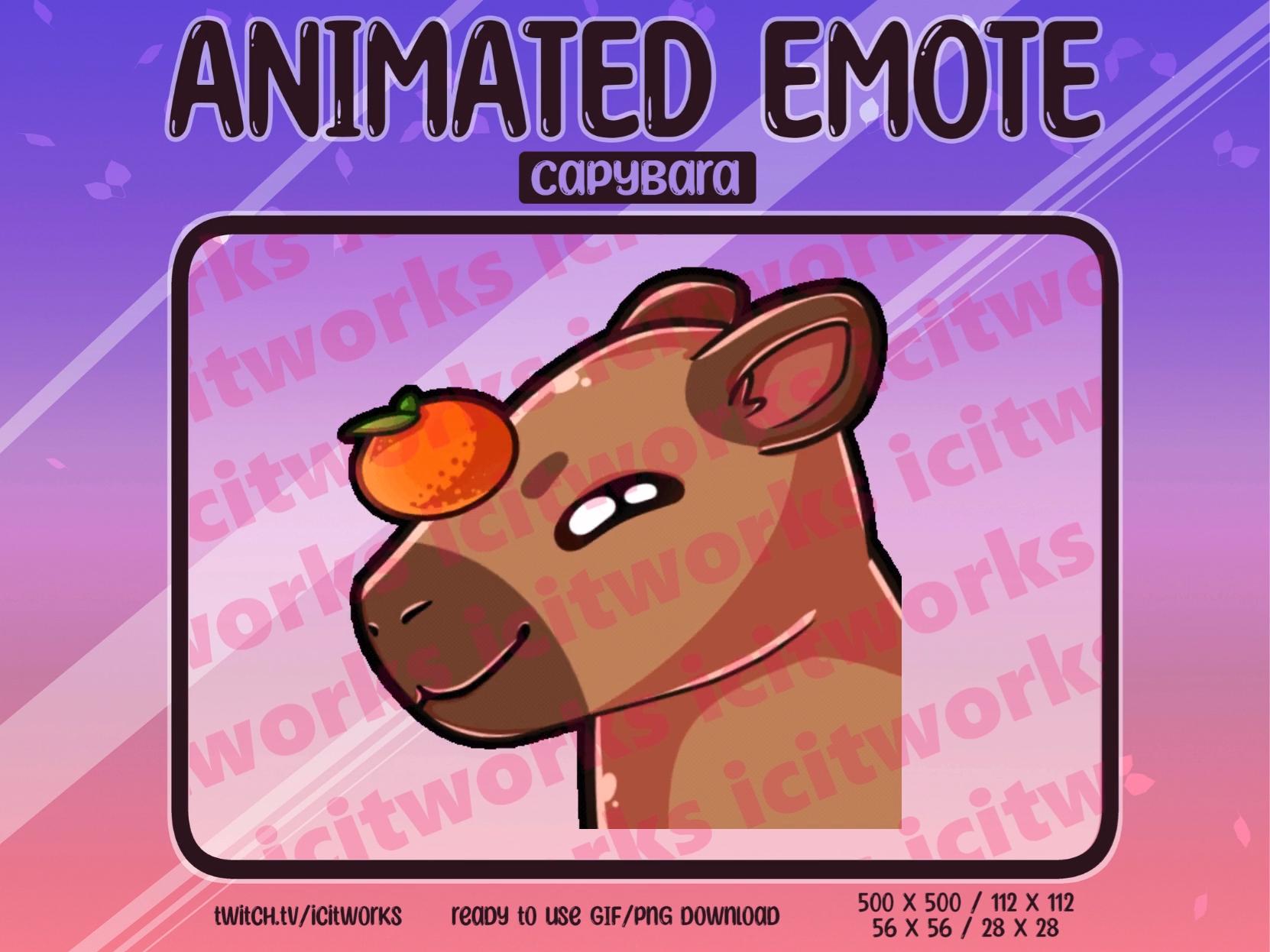 Animated Capybara Rave Dancing Party Orange Colors Emote Discord Twitch ...