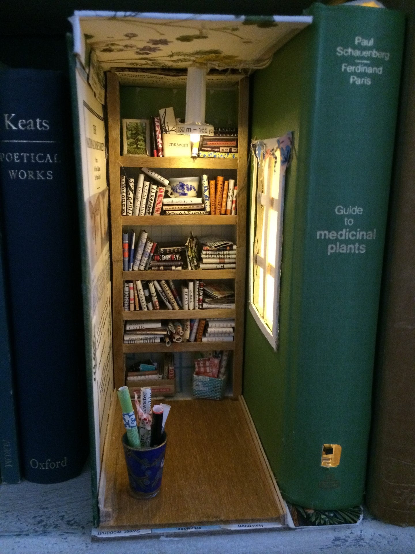 Book Nook Miniature Library Bookshelf Bookend With Lights, Botanical ...