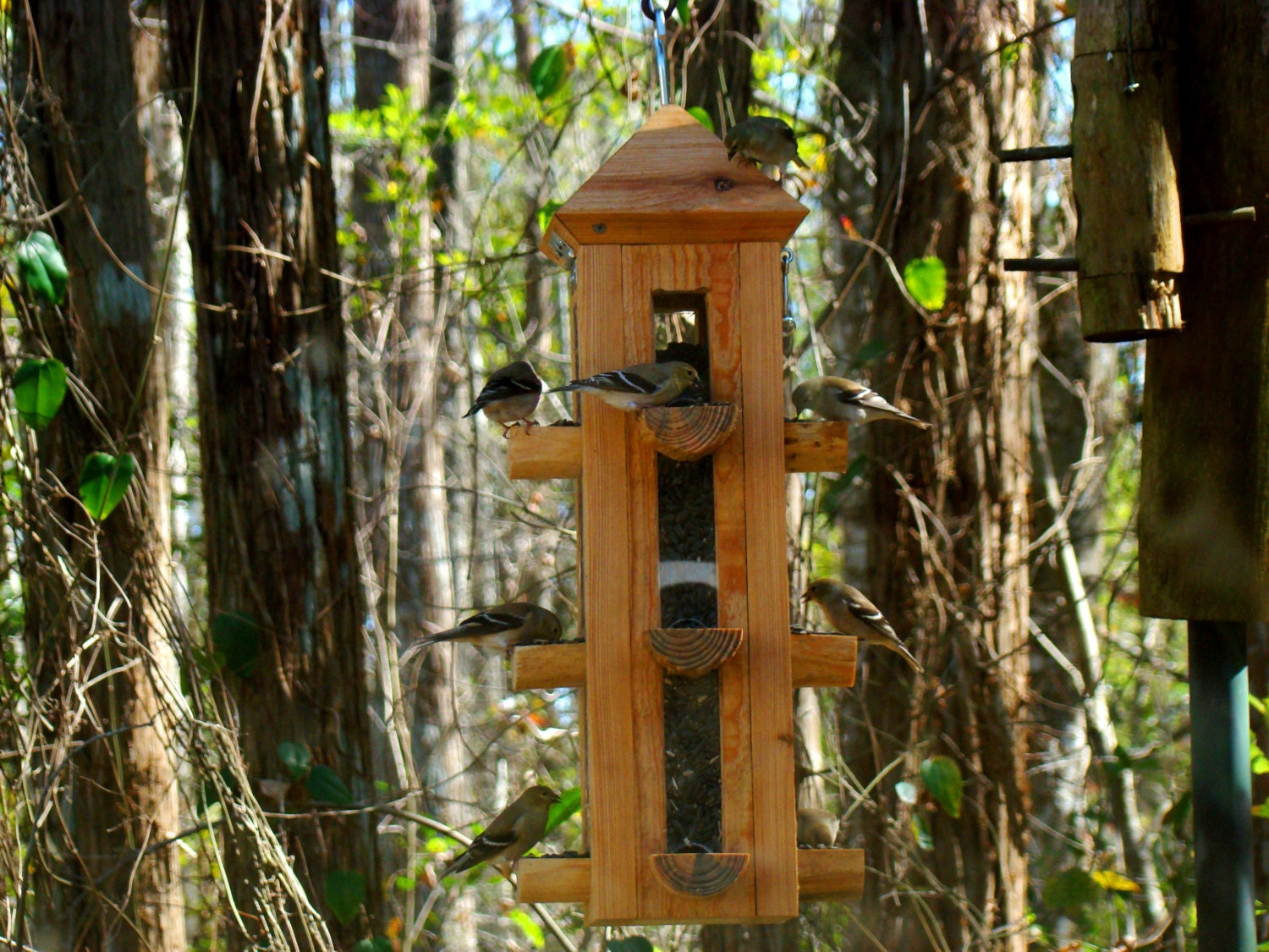 Handmade Rustic Cypress Wood Bird Feeder Finch Feeder and - Etsy