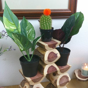 Wood Display Riser, Plant Riser - Wooden Risers Rustic Handmade - Wood Block Risers Stackable ...