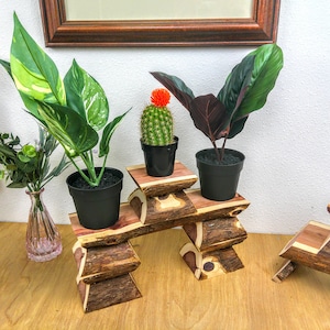 Wood Display Riser, Plant Riser - Wooden Risers Rustic Handmade - Wood ...