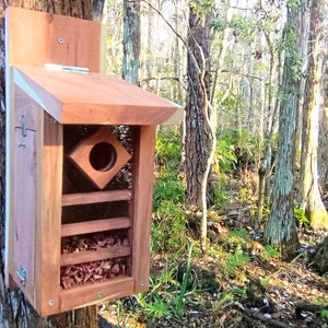 See Thru Bird House Handmade Wooden Birdhouse W/ Open, Close Side ...