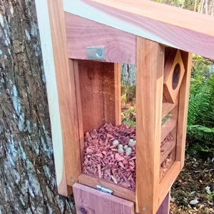 See Thru Bird House Handmade Wooden Birdhouse W/ Open, Close Side ...