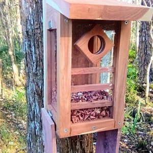 See Thru Bird House Handmade Wooden Birdhouse W/ Open, Close Side ...