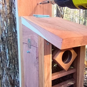 See Thru Bird House Handmade Wooden Birdhouse W/ Open, Close Side ...