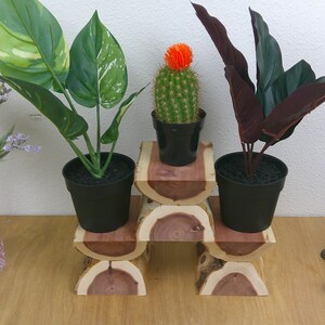 Wood Display Riser, Plant Riser - Wooden Risers Rustic Handmade - Wood Block Risers Stackable ...
