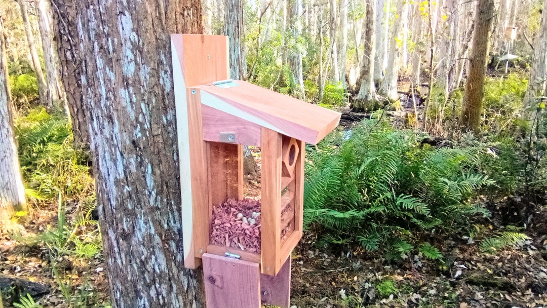 See Thru Bird House Handmade Wooden Birdhouse W/ Open, Close Side ...