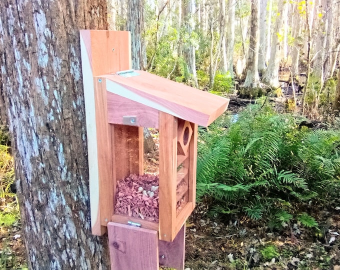 See Thru Bird House Handmade - Wooden Birdhouse W/ Open, Close Side ...