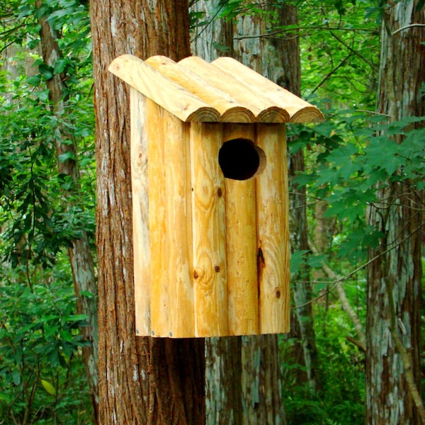 Screech Owl House Etsy