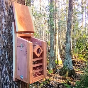 See Thru Bird House Handmade Wooden Birdhouse W/ Open, Close Side ...