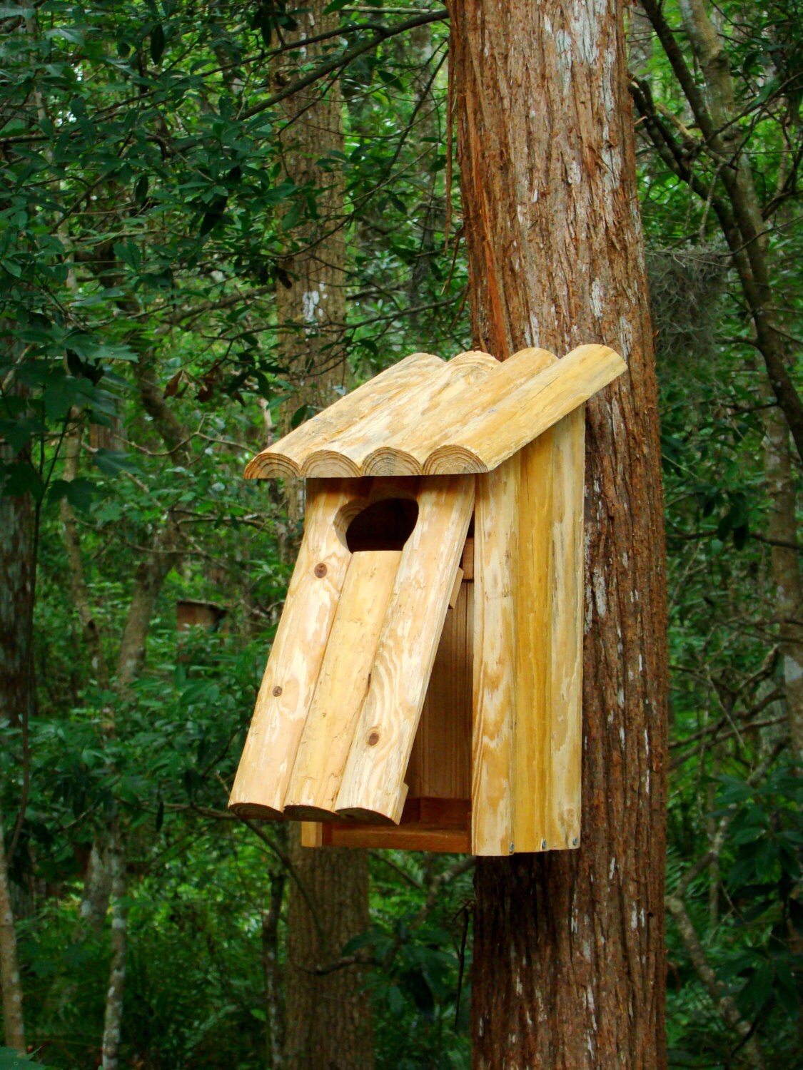 Large Rustic Birdhouses and Nest Boxes Use as Woodpecker - Etsy