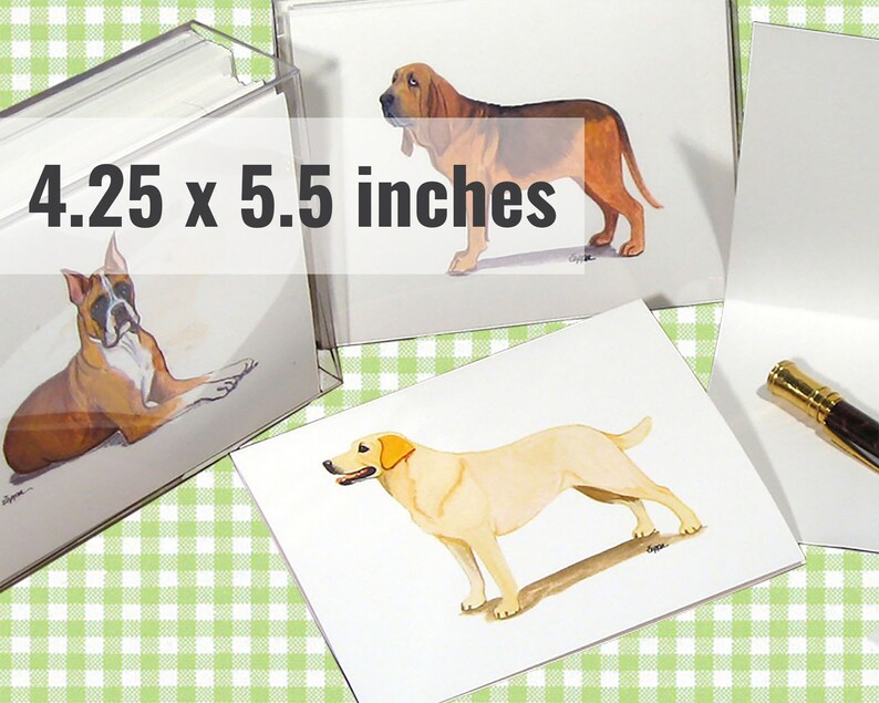 Black Labrador Note Cards Boxed Note Cards Personalized Note | Etsy