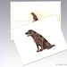 Brown Labradoodle Note Cards Boxed Note Cards Personalized - Etsy