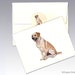 Yellow Labrador Note Cards, Boxed Note Cards, Personalized Note Cards ...
