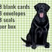 Black Labrador Note Cards, Boxed Note Cards, Personalized Note Cards - Etsy
