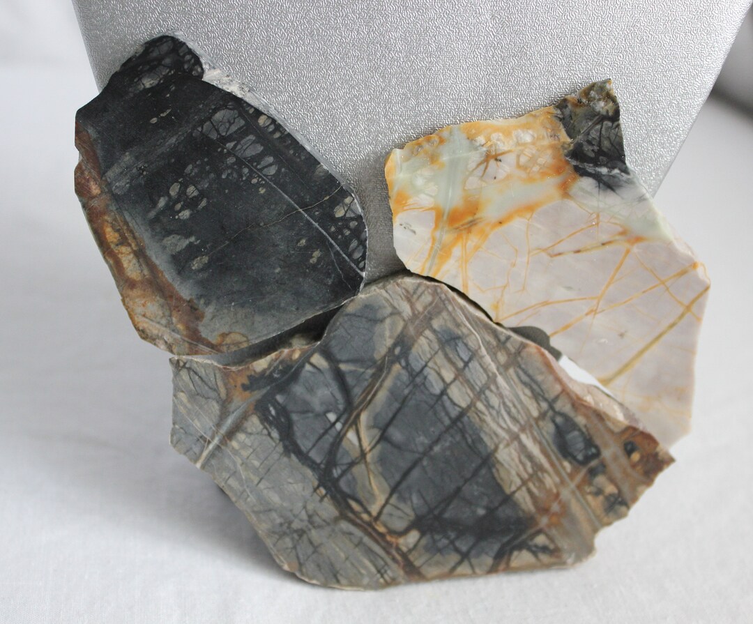 Utah Picasso Marble Jasper Slab 2.5 Inches X 4 Inches X 1/4 Inch and ...