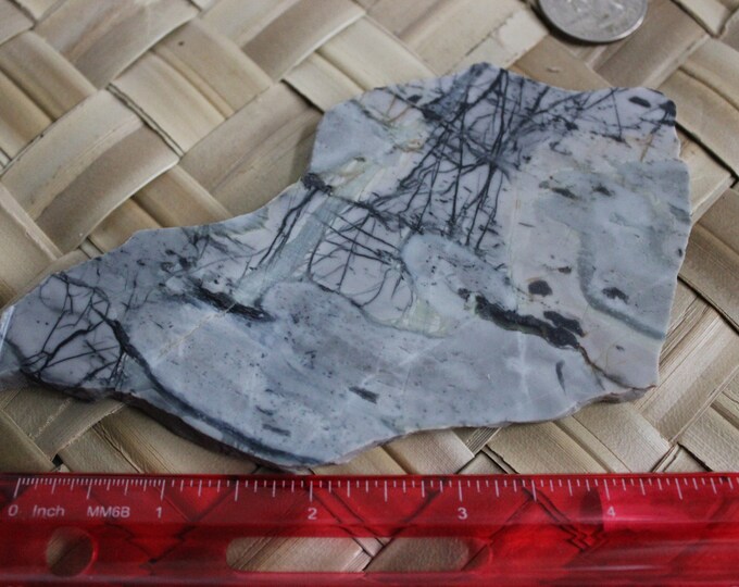 UTAH PICASSO JASPER 5 Inches X 3.5 Inches X 1/4 In. Lapidary Slab ...