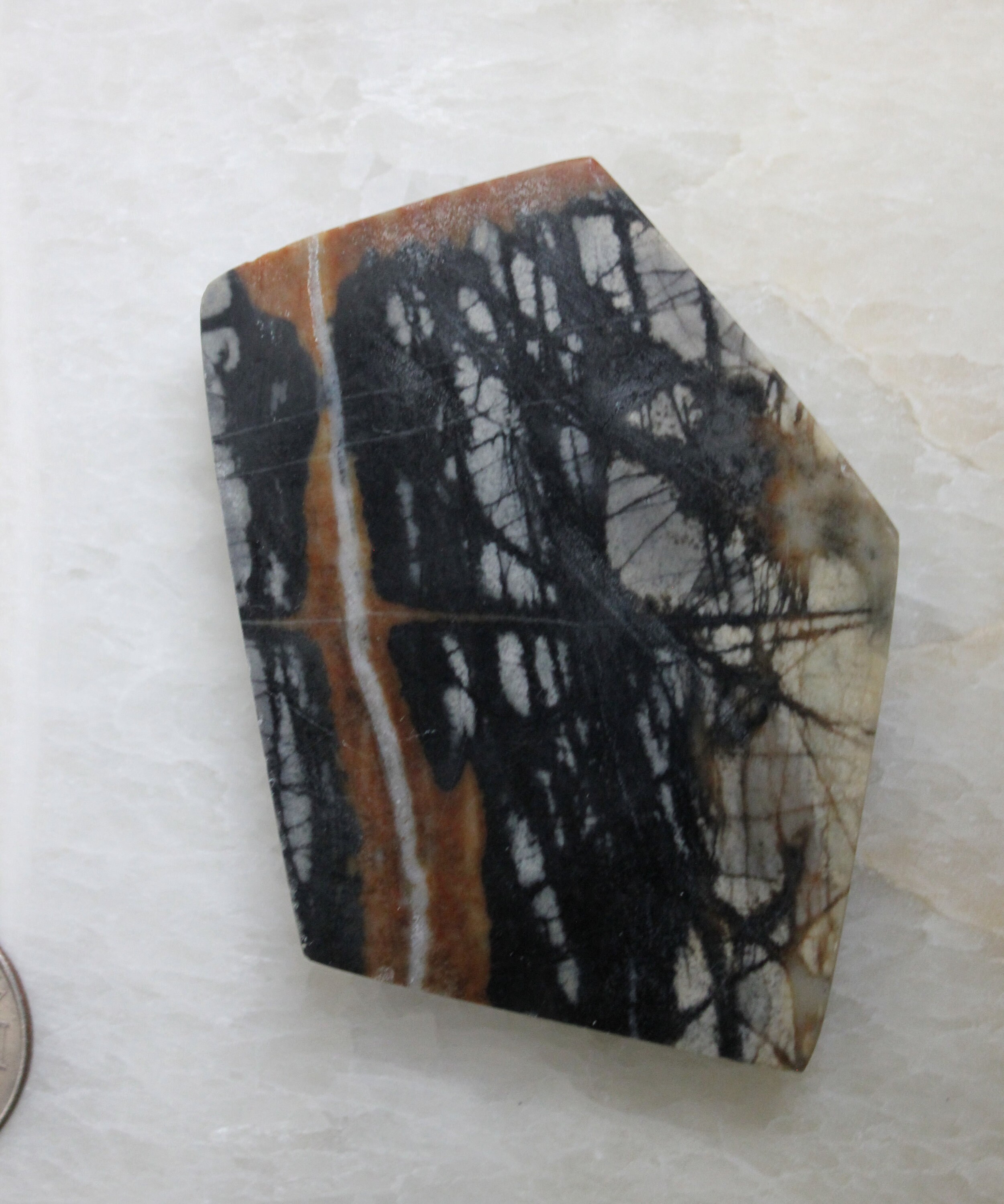 Utah Picasso Marble Natural Large Cabochon 3 x 2 | Etsy