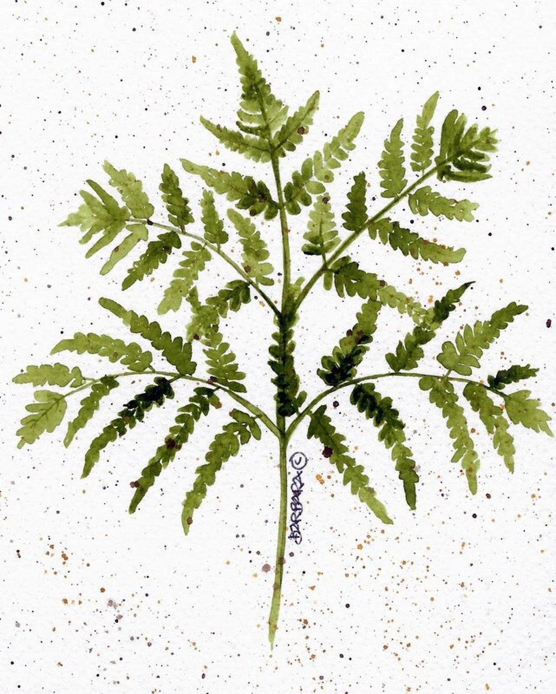 Fern, Fern Note Cards, Blank Inside, Watercolor Prints No. 604 'the ...