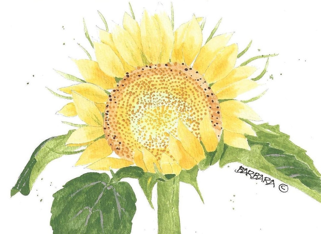 Sunflower Note Cards, Sunflower Cards, Floral Note Cards, BLANK INSIDE ...