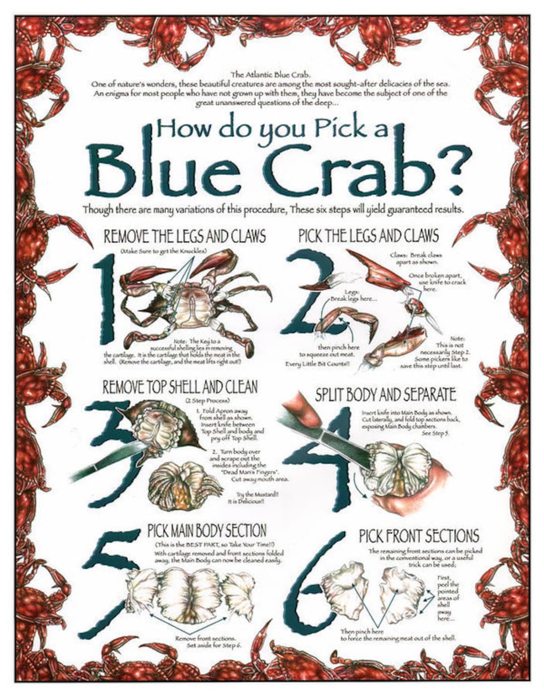 How to Pick a Blue Crab / Wall Art / Poster Print / Crab - Etsy