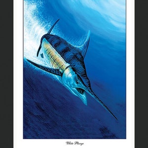 White Marlin Billfish Wall Art Print Titled "white Plunge" - Etsy