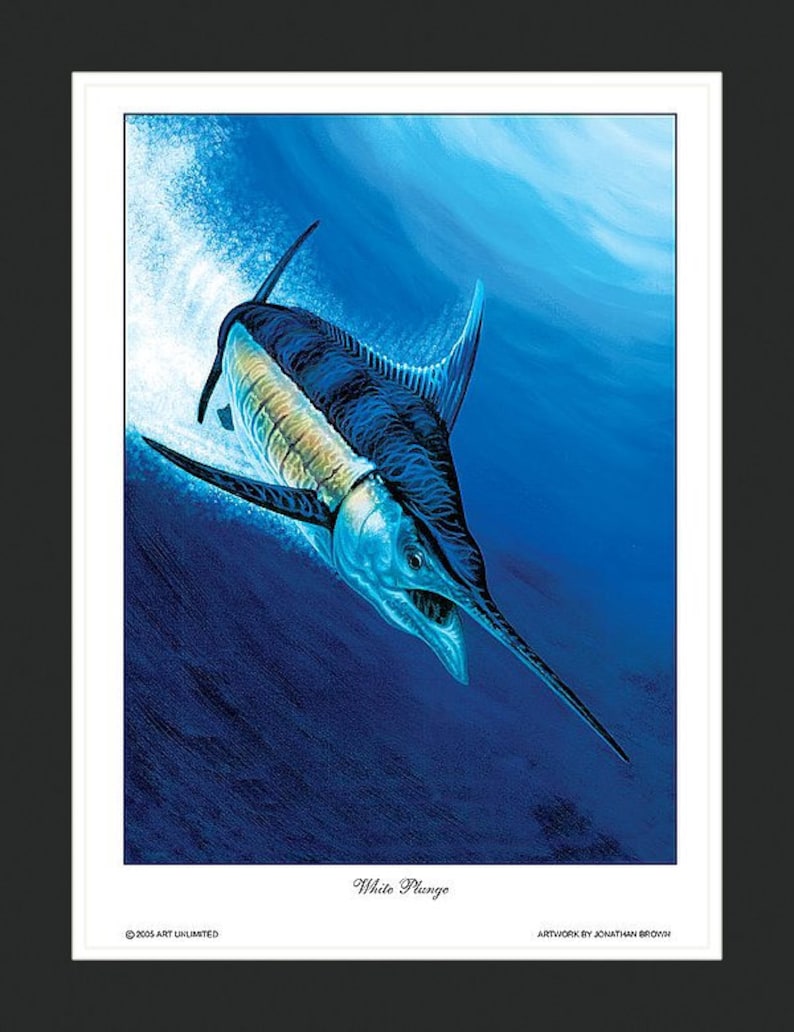 White Marlin Billfish Wall Art Print Titled "white Plunge" - Etsy