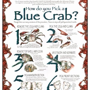 How to Pick a Blue Crab / Wall Art / Poster Print / Crab - Etsy