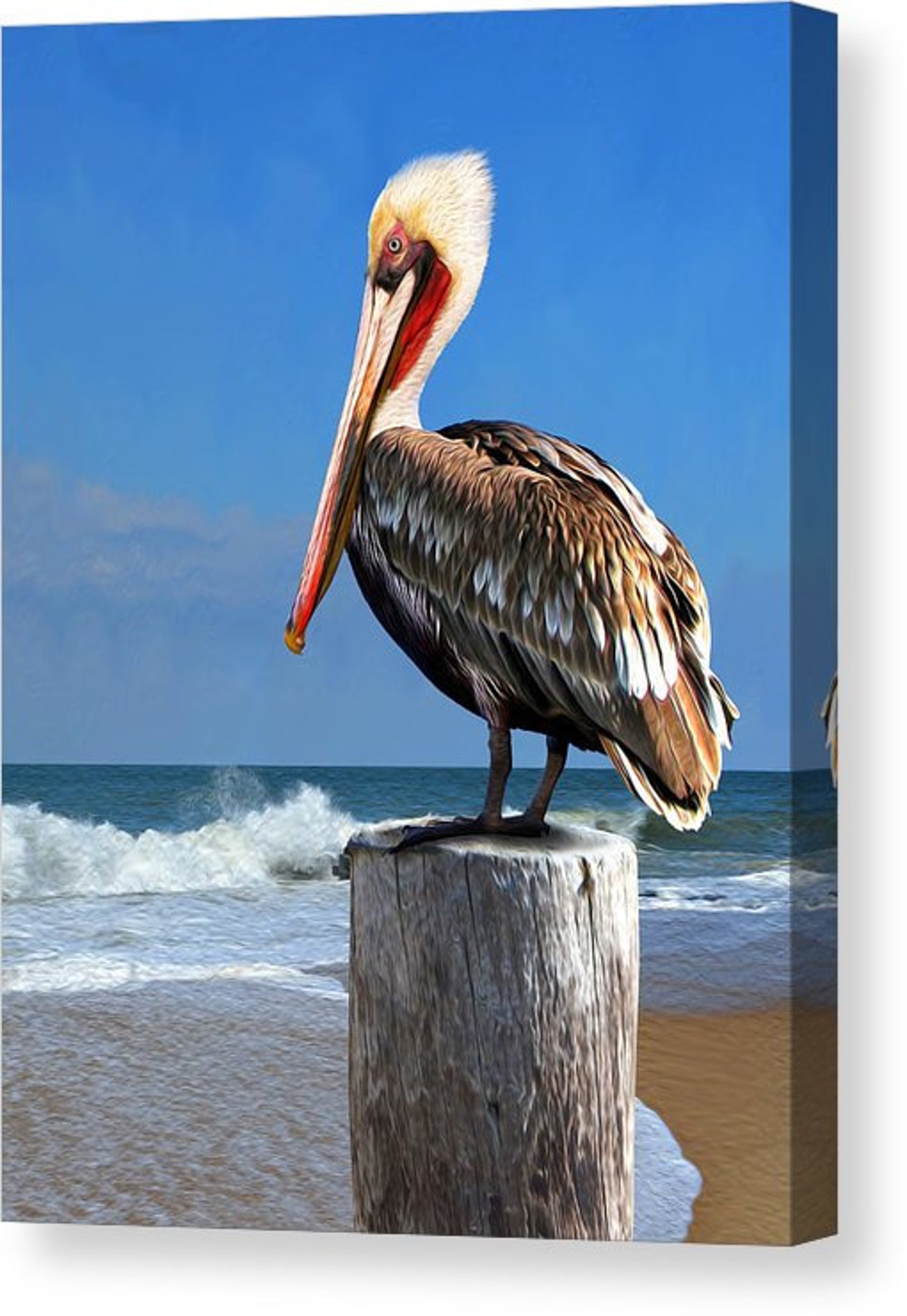 Morning Perch - Pelican Canvas Wall Art / Bird / Coastal Wildlife - Etsy