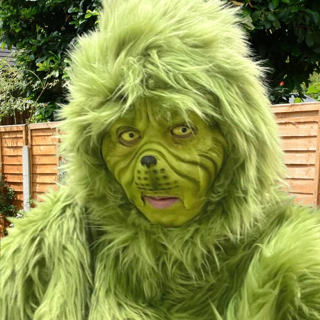 Mean Grouch Special FX Foam Rubber Mask Painted/unpainted/supplies/fur ...