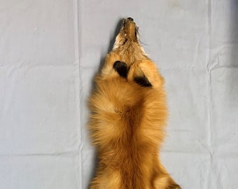 Wild Red Fox Pelt W/feet - Etsy