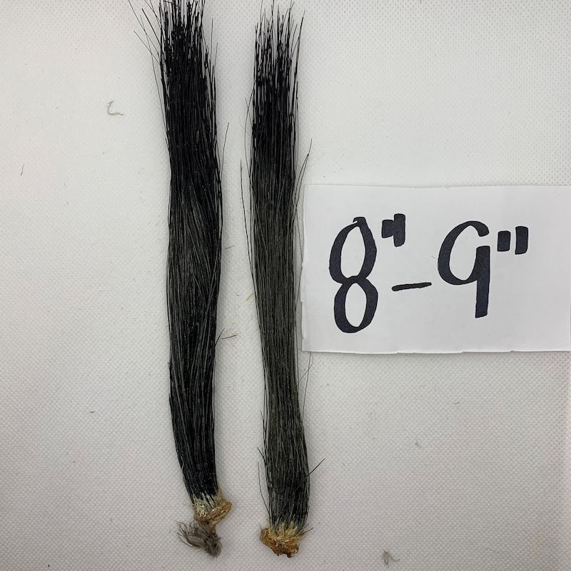 Turkey Feathers - Etsy