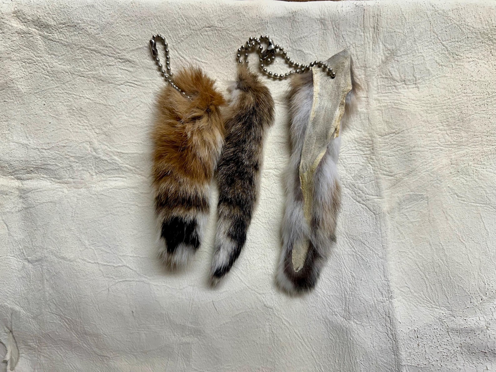 Genuine Bobcat Tail Keychain CHOOSE SIZE - Etsy