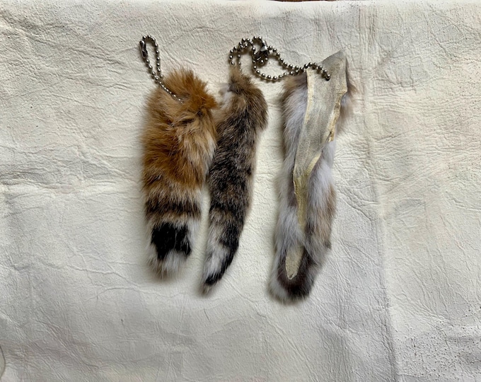 Genuine Bobcat Tail Keychain (CHOOSE SIZE) - Etsy