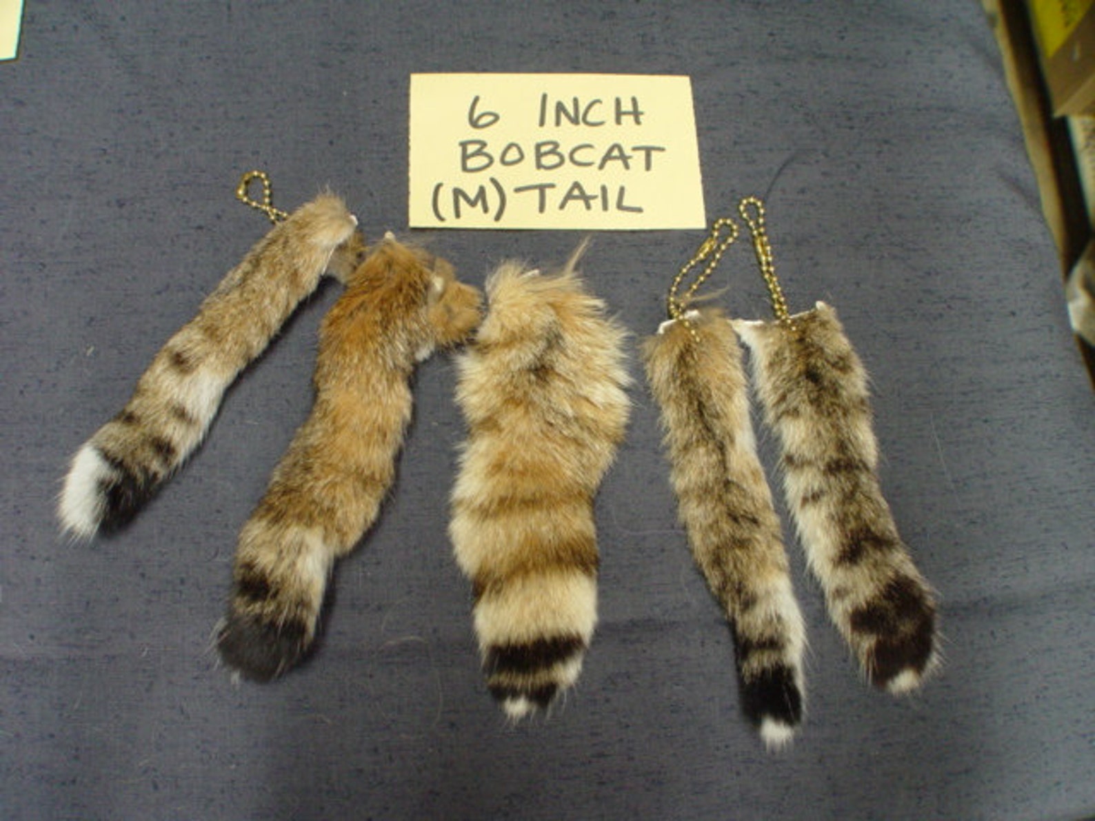Genuine Bobcat Tail Keychain CHOOSE SIZE - Etsy
