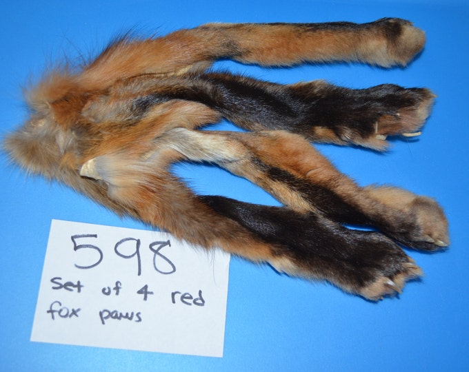 Set of 4 Red Fox Paws With Legskins Tanned 7-10 598 | Etsy