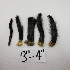 Turkey Beards (choose Your Size) - Etsy